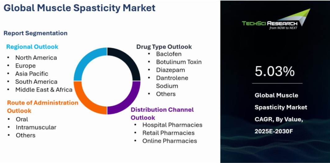 Muscle Spasticity Market By Size, Share and Forecast 2030F | TechSci Research